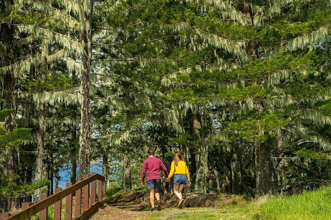 Breakfast Bushwalk in Norfolk Island - The Sum Up