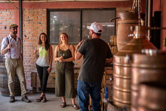 Breakfast & Market Tour in San Luis Potosí with English Guide - Key Points