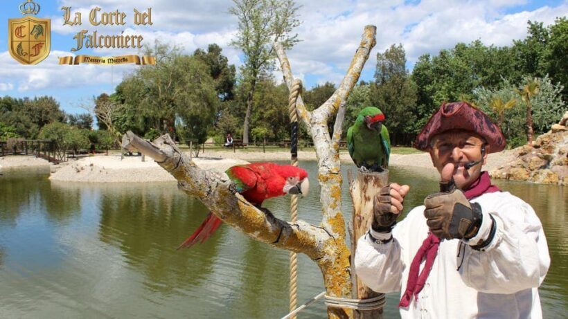 Breakfast with Parrots at Masseria mazzetta with wildlife park - Introduction: An Unusual Way to Start the Day in Apulia