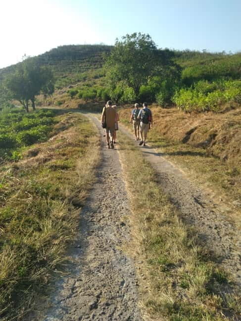 Breathe in Malinos Fresh Air & Explore the Flower City - A Deep Dive into the Malino Mountain Adventure