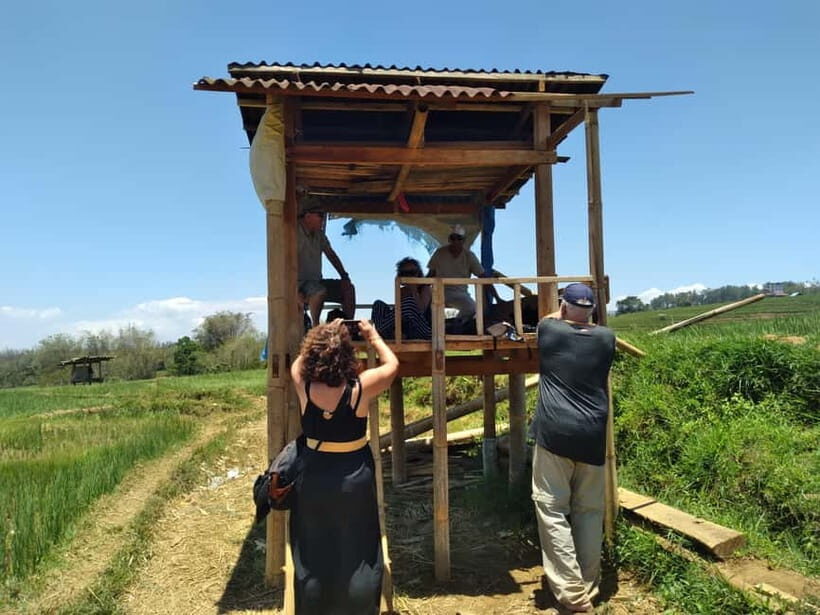 Breathe in Malinos Fresh Air & Explore the Flower City - Who Should Consider This Tour?