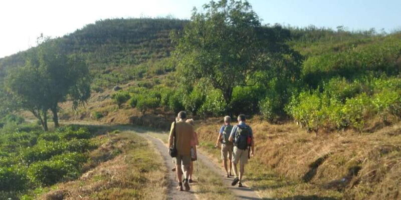 Breathe in Malinos Fresh Air & Explore the Flower City - What to Expect and Practical Tips