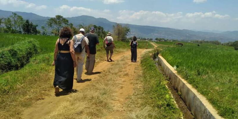 Breathe in Malinos Fresh Air & Explore the Flower City - Who Is This Tour Best For?