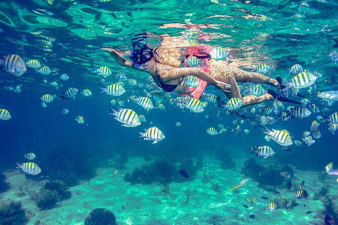 Breathtaking experience driving a speedboat in Cancun with Snorkeling included - In-Depth Look at the Tour Experience