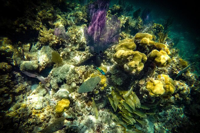 Breathtaking experience driving a speedboat in Cancun with Snorkeling included - FAQs