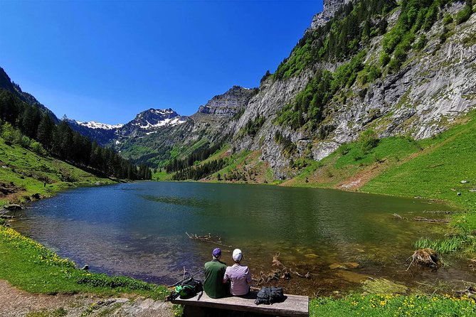 Breathtaking Private Hike With a Local Swiss Expert (1 Day Trip) - Inclusions and Amenities