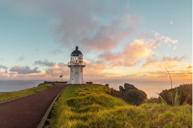 Breathtaking Six Day Northland Tour Offered in English & German - Discovering Northland: A Practical Guide to the 6-Day Tour