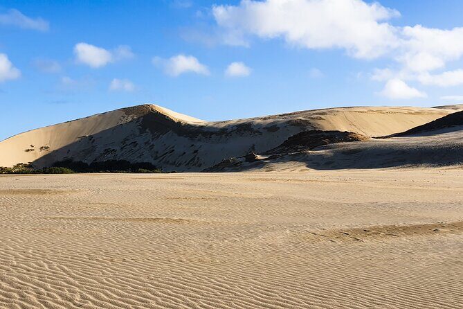 Breathtaking Six Day Northland Tour Offered in English & German - Key Points
