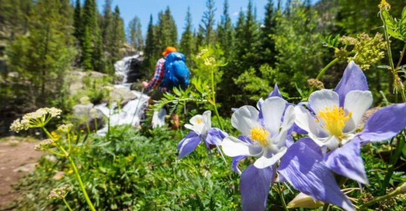 Breckenridge, CO: Half-Day Guided Scenic Hike - The Trails and Highlights