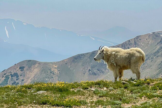 Breckenridge via Hoosier Pass Private Colorado Adventure Tour - Key Points