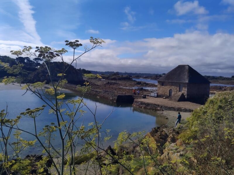 Bréhat: a Guided Tour of Its Superb Landscapes - An Immersive Nature Adventure: Exploring Bréhats Unique Ecosystem