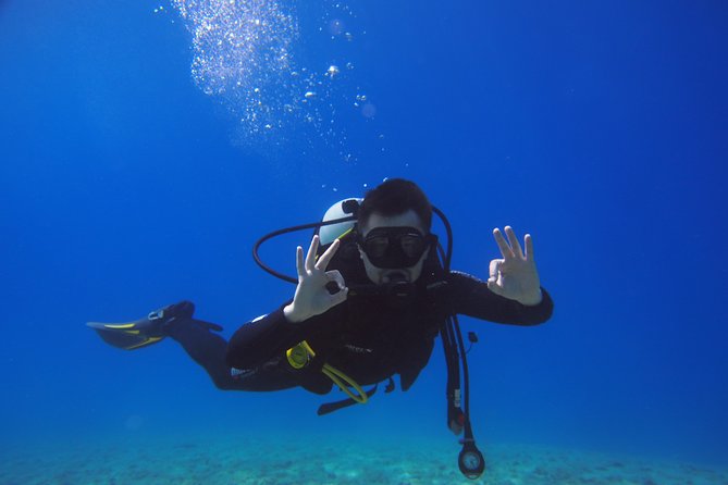 BRELA Bikini Dive *Try SCUBA DIVING* - Learning and Enjoyment