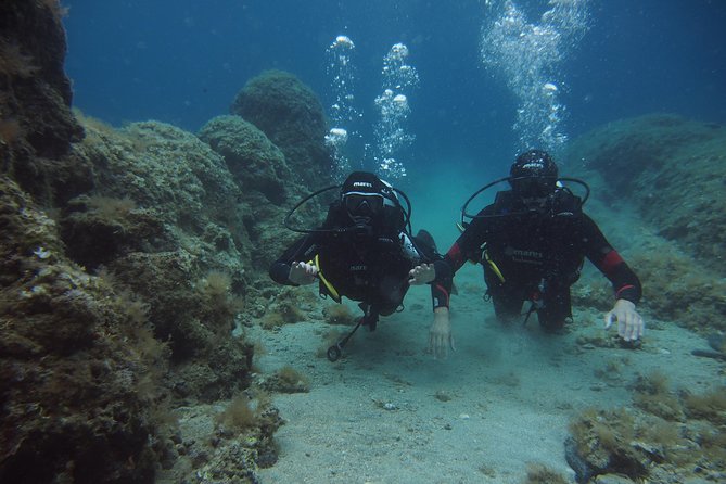 BRELA Bikini Dive *Try SCUBA DIVING* - Safe and Personalized Instruction