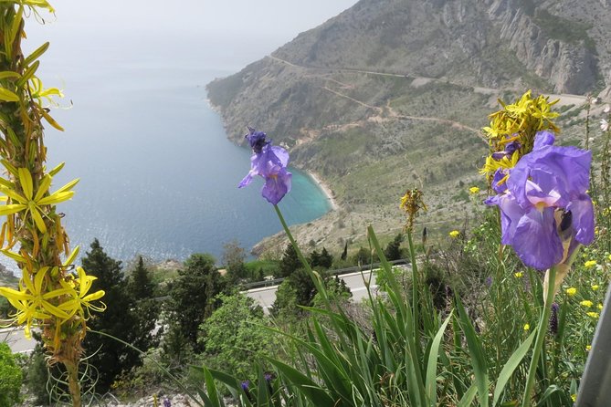 Brela/Omi - grab the best - FAQ