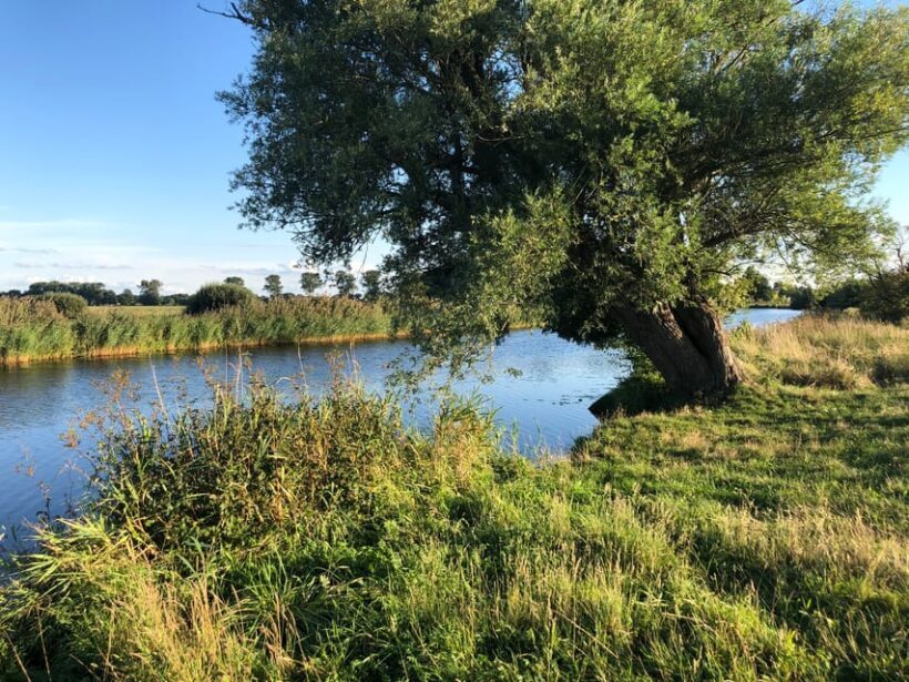 Bremen: Full-Day Kayak Rental on the Wümme River - Who Should Consider This Tour?