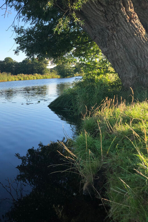 Bremen: Full-Day SUP Rental on the Wümme River - Key Points
