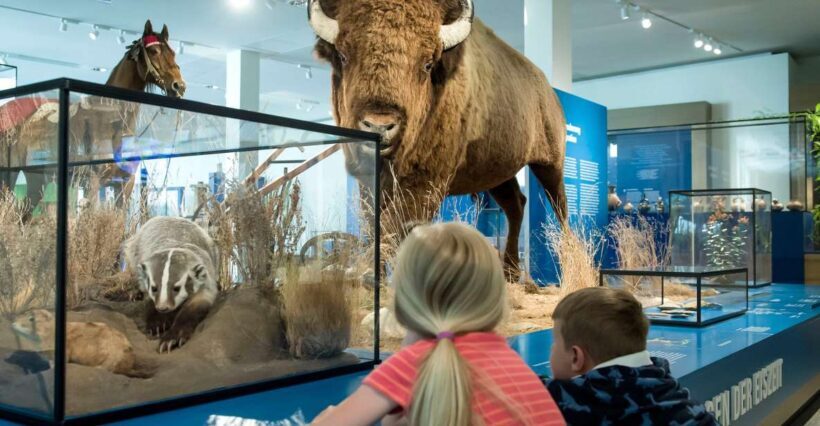 Bremen: Übersee Museum Entrance Ticket - An In-Depth Look at the Übersee Museum Experience