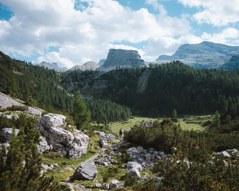 Brenta Dolomites: 7-Day Guided Loop Trekking - Analyzing the Value: Is It Worth It?