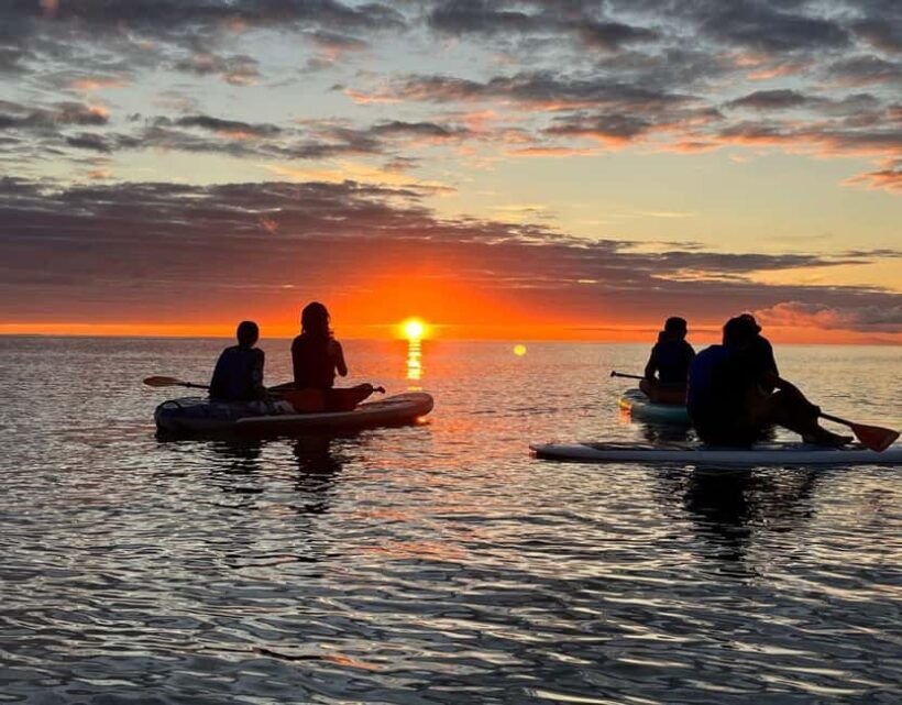 Brentwood Bay: Bioluminescence & Sunset Paddleboard Tour - What’s Included and What’s Not?