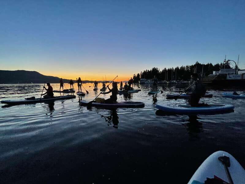 Brentwood Bay: Bioluminescence Tour - Key Points