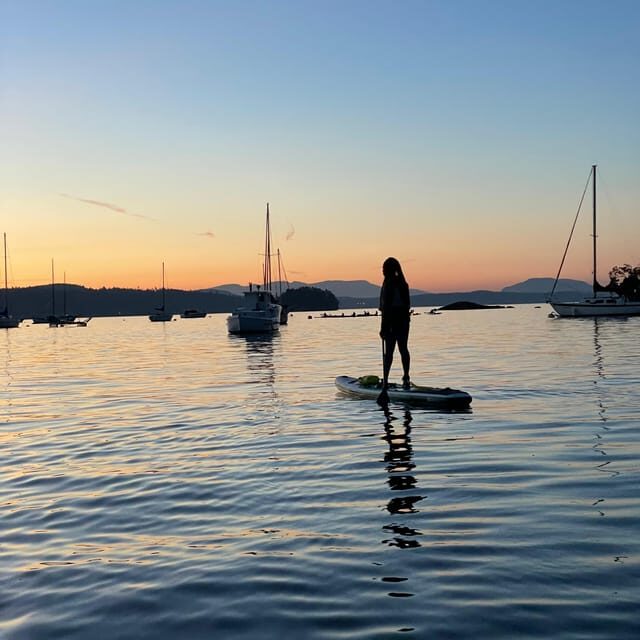 Brentwood Bay: Bioluminescence Tour - The Practical Side: What’s Included and What’s Not