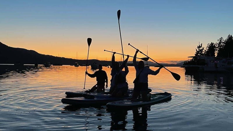 Brentwood Bay: Bioluminescence Tour - Who Will Love This Tour?