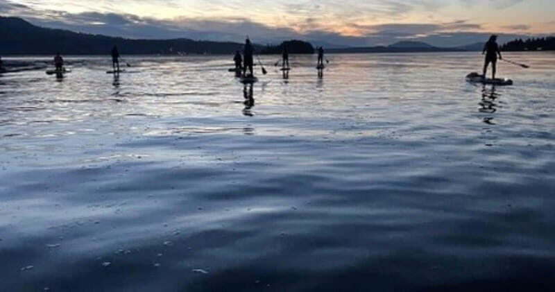 Brentwood Bay: Bioluminescence Tour - Real Traveler Insights