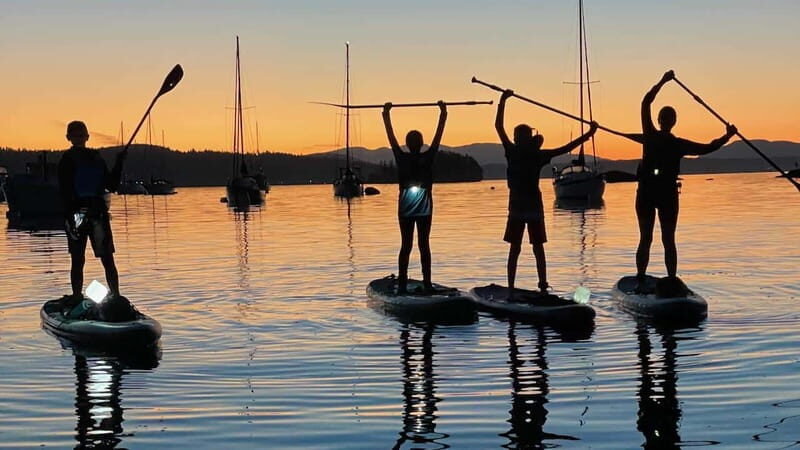 Brentwood Bay: Bioluminescence Tour - Final Thoughts