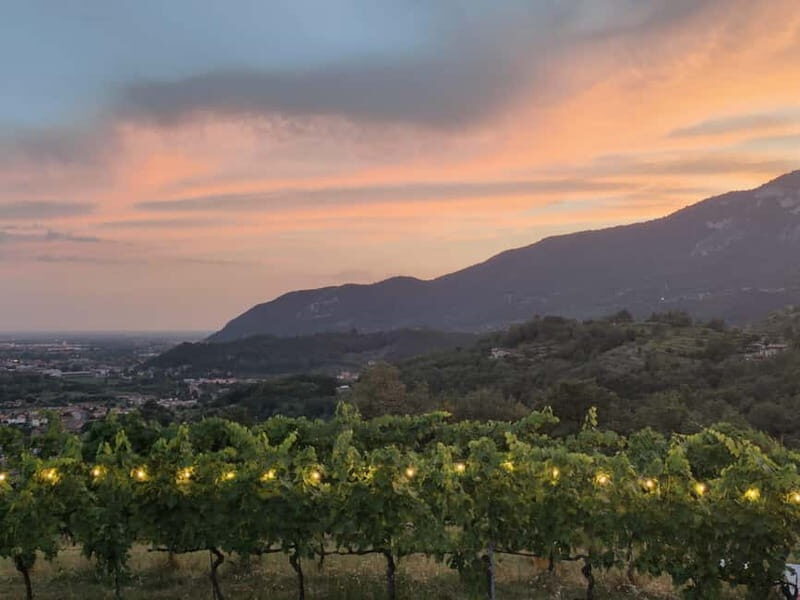 Brescia: Day trip to Botticino, new historical winetasting - What is the tour all about?