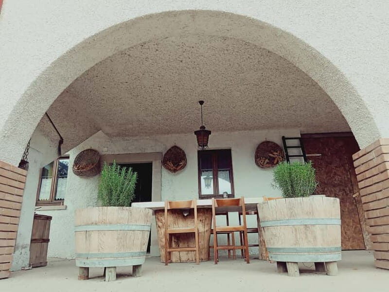 Brescia: Day trip to Botticino, new historical winetasting - Who Should Consider This Tour?