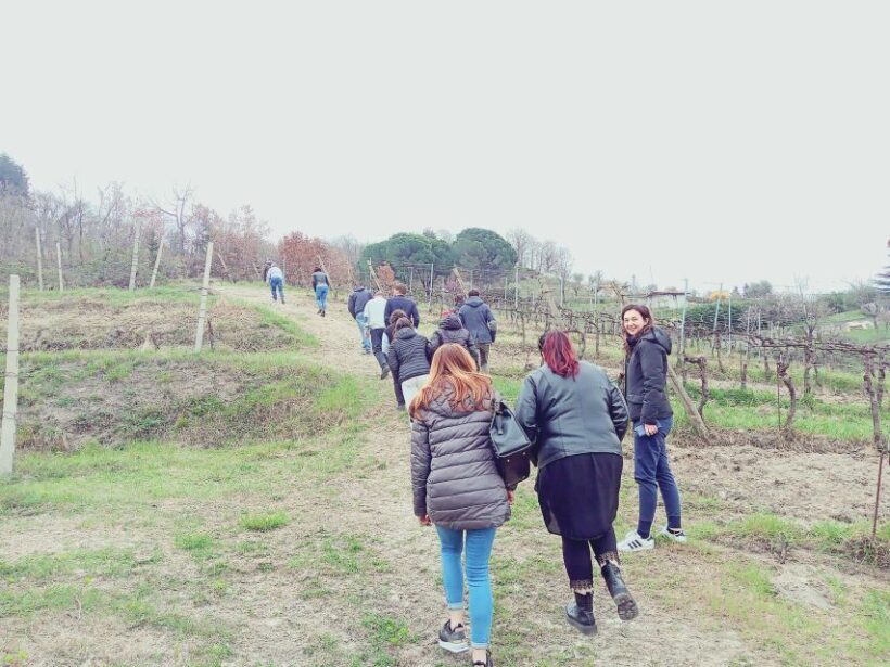 Brescia: day trip to Botticino with wine tasting at Noventa - The Sum Up