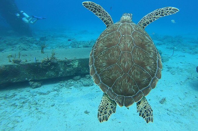 Brewers Bay Beach and Snorkel Adventure - Value and Considerations