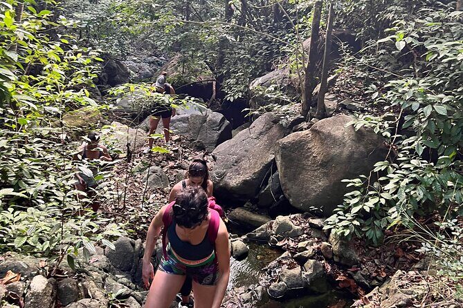 Brewers Bay Eco Hiking Tour - The Sum Up