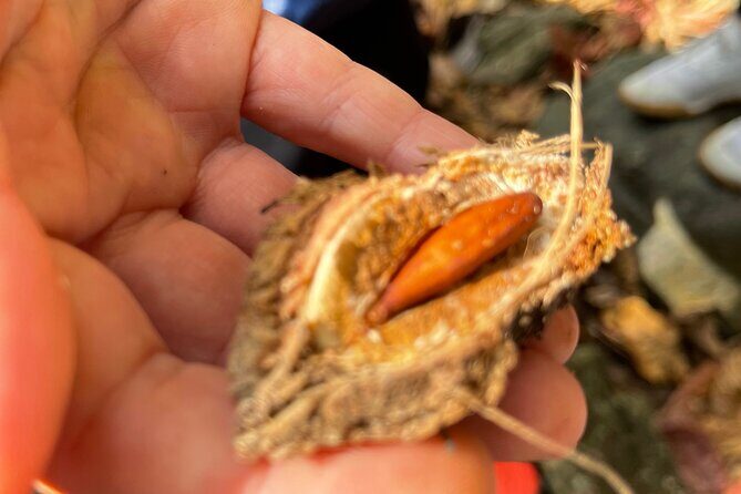 Brewers Bay Eco Hiking Tour - FAQs