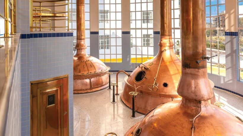 Brewery Experience with Beer Tasting and Optional Transport - Pricing and Value
