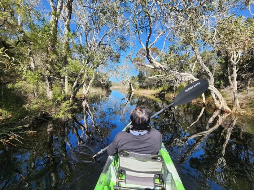 Bribie Island: Sea to Table 4WD, Kayak, & Seafood Lunch Tour - FAQs