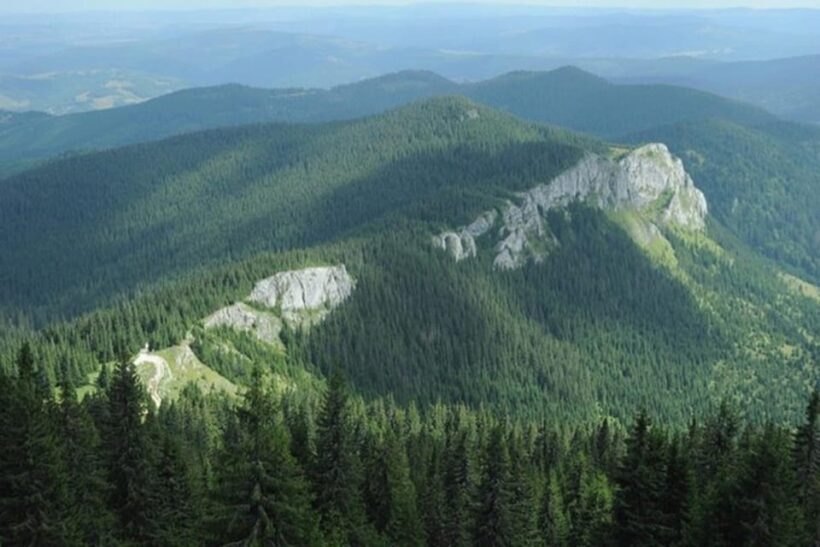 Bridal Veil Falls Rachitele : Oradea 1 day tour by car - What Travelers Say: Authentic Experiences and Useful Tips