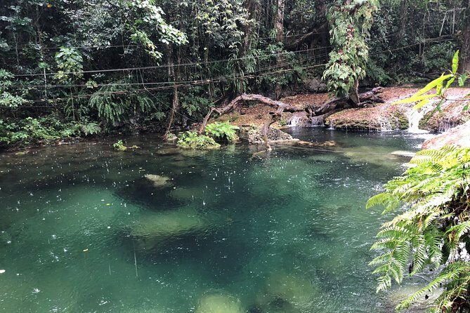 Bridges of Eden with Yumi Tours - What to Expect from Your Visit