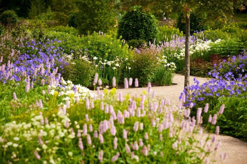 Bridgewater: Royal Horticultural Society Garden Ticket - An Authentic Look at RHS Garden Bridgewater