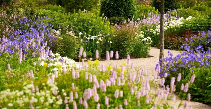 Bridgewater: Royal Horticultural Society Garden Ticket - Final Thoughts