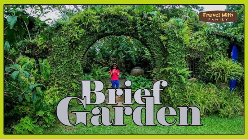 Brief Garden: The Artistic Legacy of Bevis Bawa - Exploring the Garden’s Unique Features