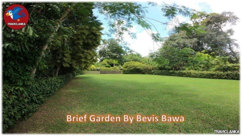 Brief Garden: The Artistic Legacy of Bevis Bawa - Analyzing the Value