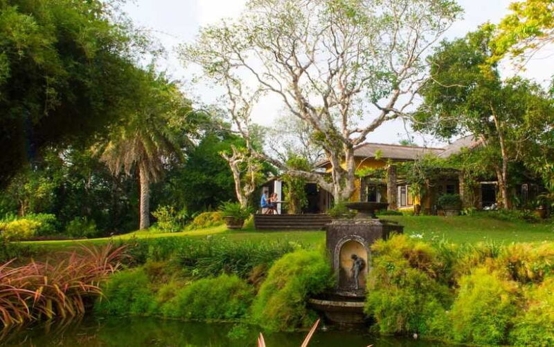 Brief Garden: The Artistic Legacy of Bevis Bawa - FAQs