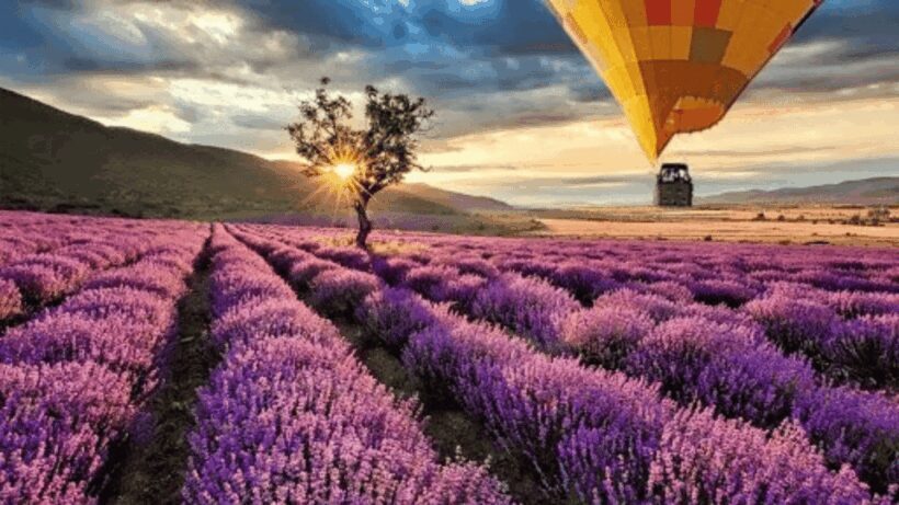 Brihuega: Balloon Flight Above Lavender Fields - The Experience and Its Value: What Travelers Say