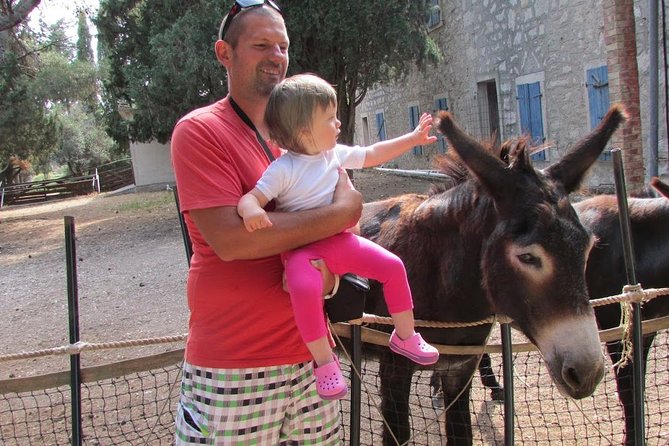 Brijuni National Park Boat Excursion From Pula. With a Visit to the Island - Accessibility and Participation