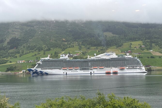 Briksdal Glacier and Loen Skylift day Excursion - Key Points