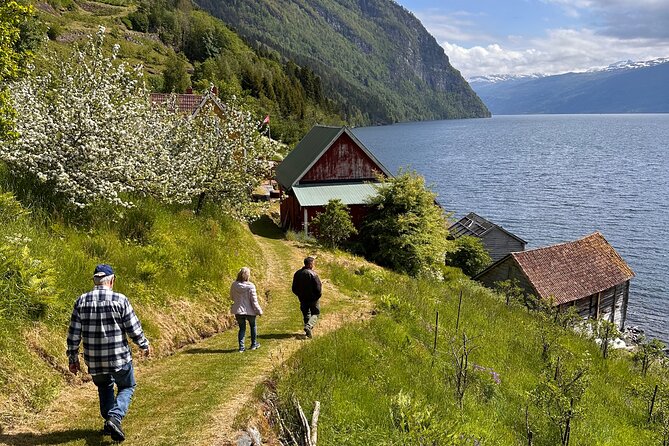 Briksdal Glacier and Loen Skylift day Excursion - FAQ