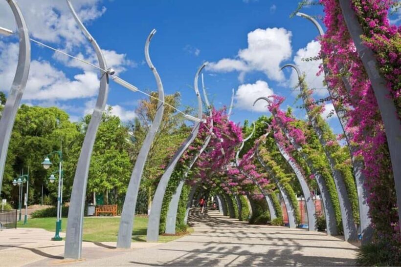 Brisbane : City Highlights Private Walking Tour - An Insider’s Look at the Tour Itinerary