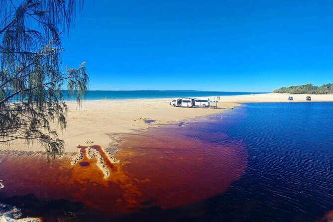 Brisbane day trip to Bribie Island - Why This Tour Offers Great Value