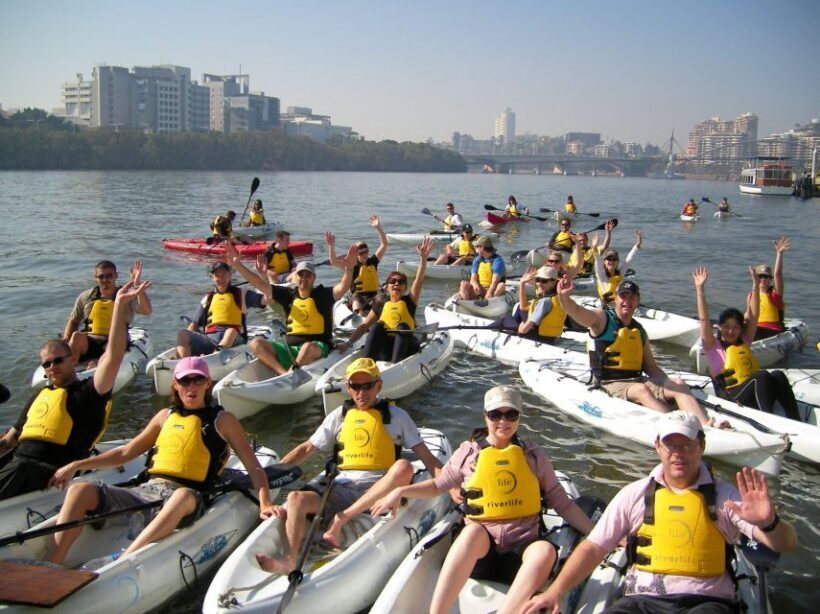 Brisbane: Guided River Kayak Tour - Key Points